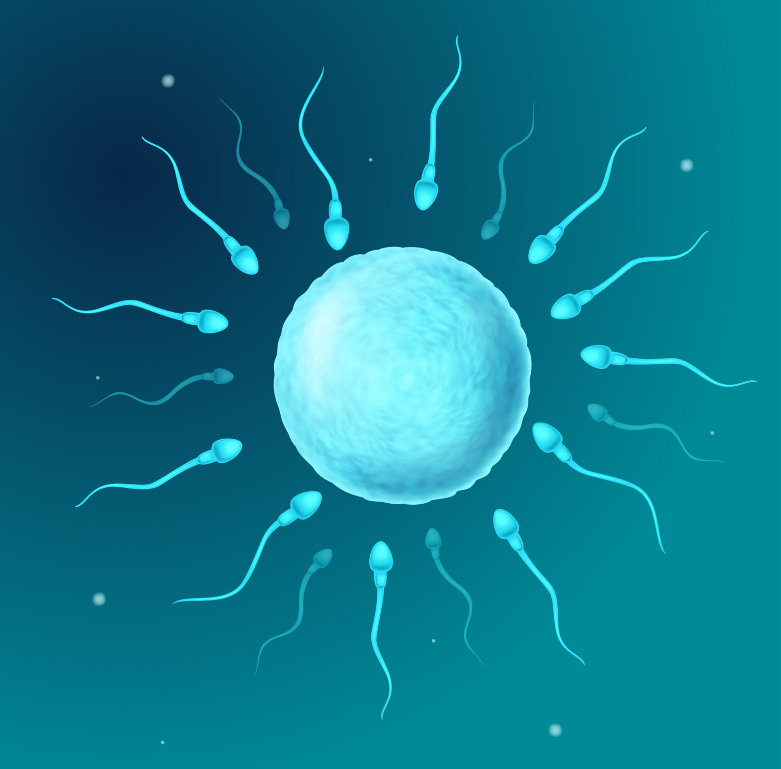 Pruebas de Seminograma + REM | Laboratorio | Cefegen